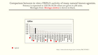 Food as Medicine: Moringa, the Miracle Tree | PPT
