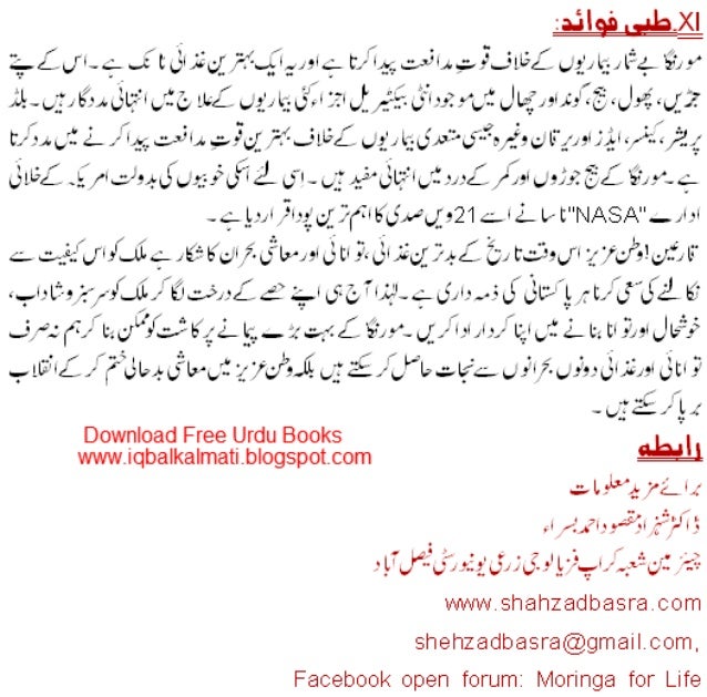 TREE MORINGA BENIFITS URDU