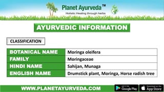 Moringa Leaves (Moringa Oleifera) Benefits & Uses Drumstick Leaves | PPTX