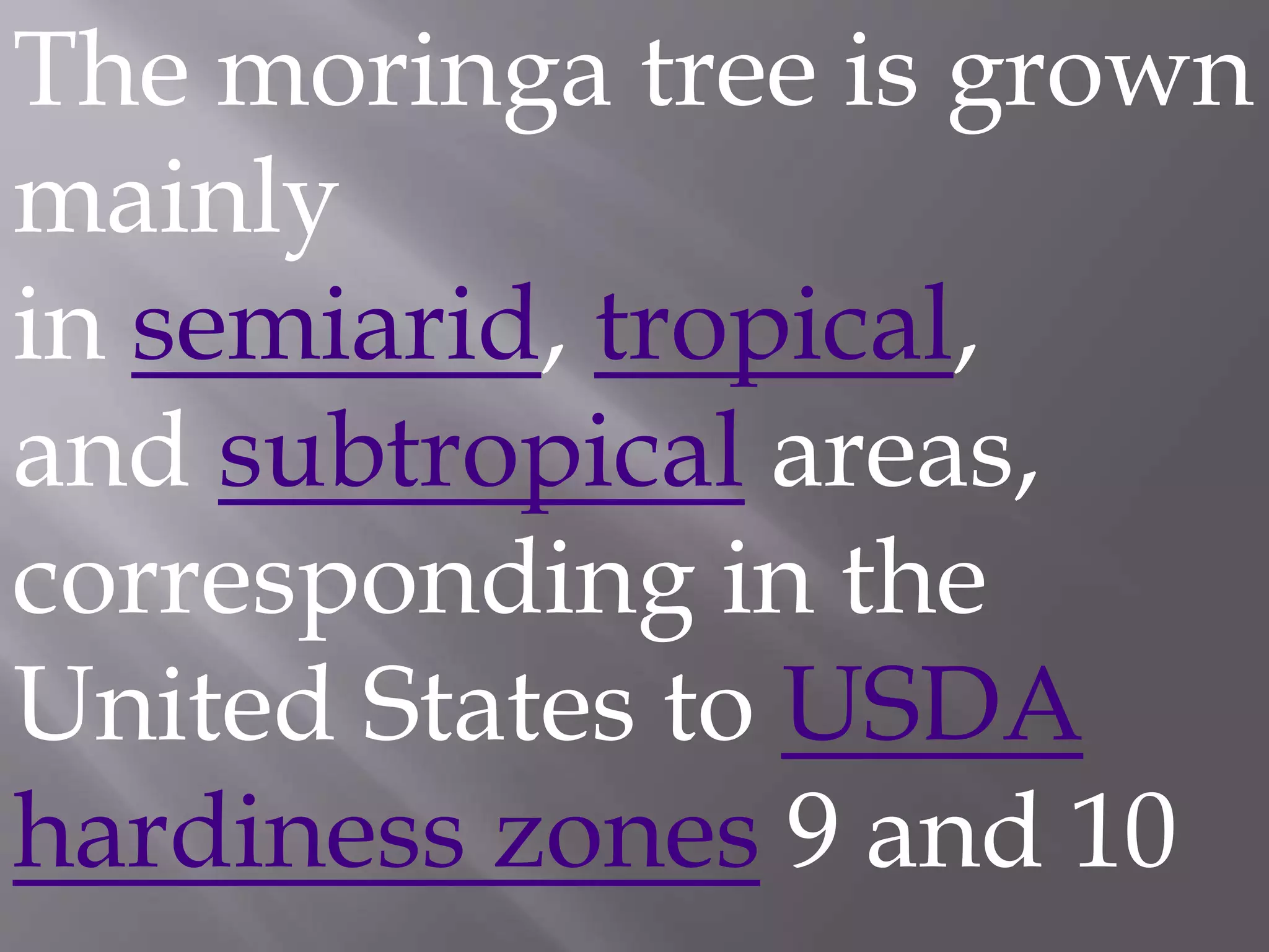 Moringa oleifera | PPTX