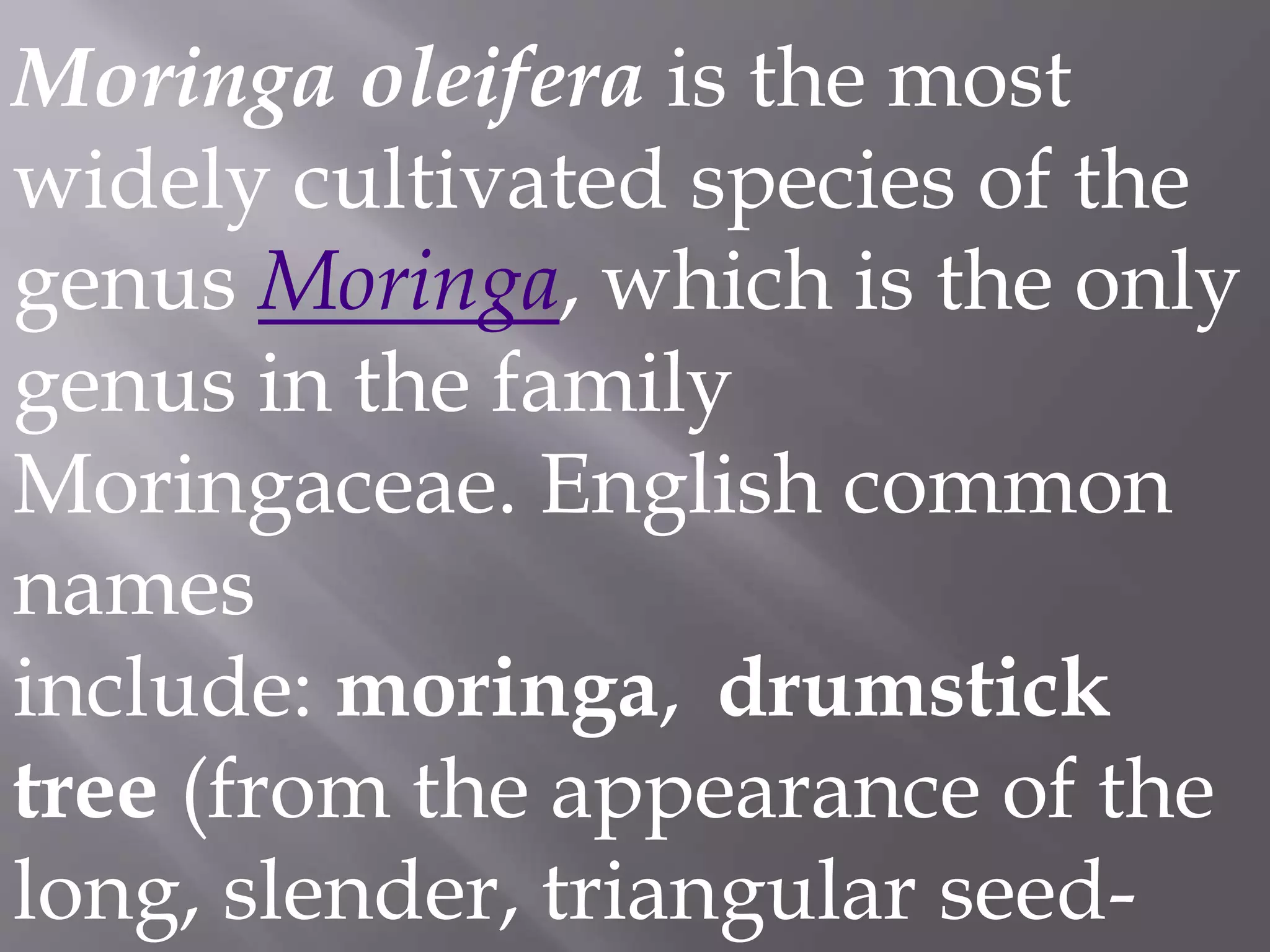 Moringa oleifera | PPTX