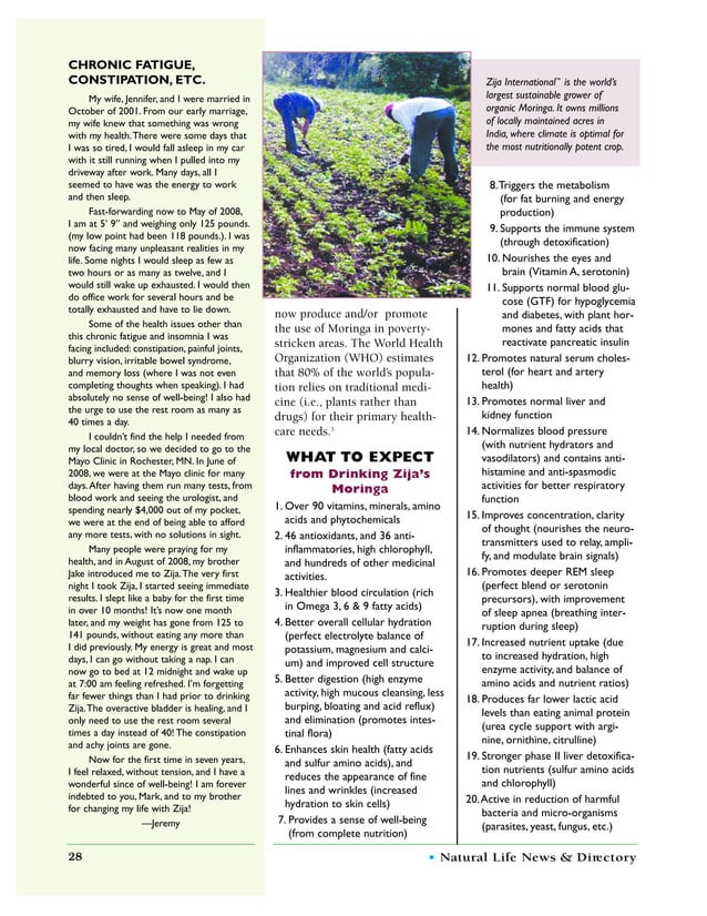 Moringa 'the Miracle tree' part1 | PDF