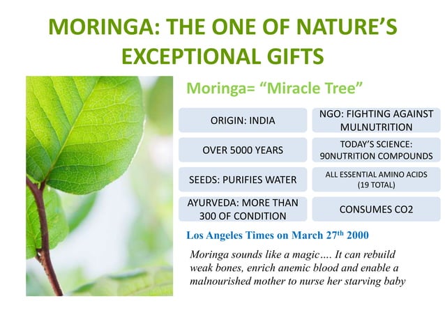 Moringa presentation 03202011 | PPTX | Nutrition | Healthy Living