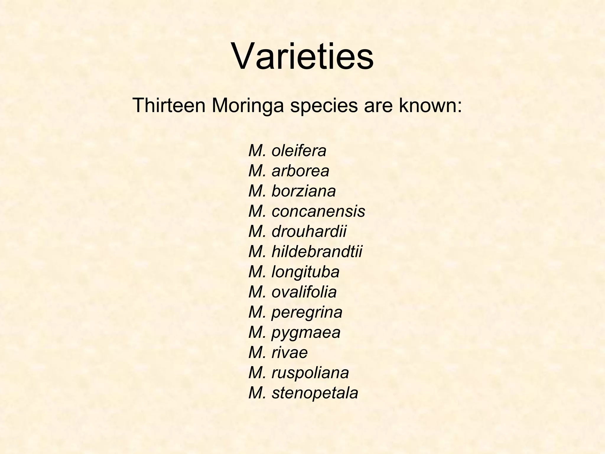 Moringa Presentation (General) | PPT