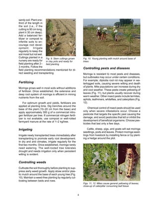 Moringa suggested ways_of_cultivation | PDF