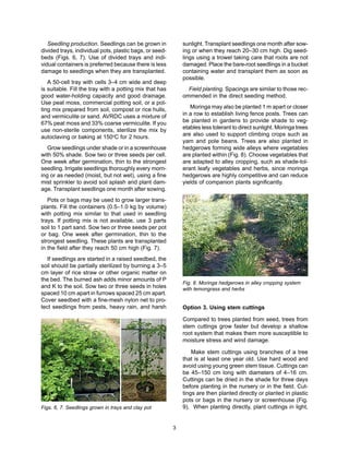 Moringa suggested ways_of_cultivation | PDF