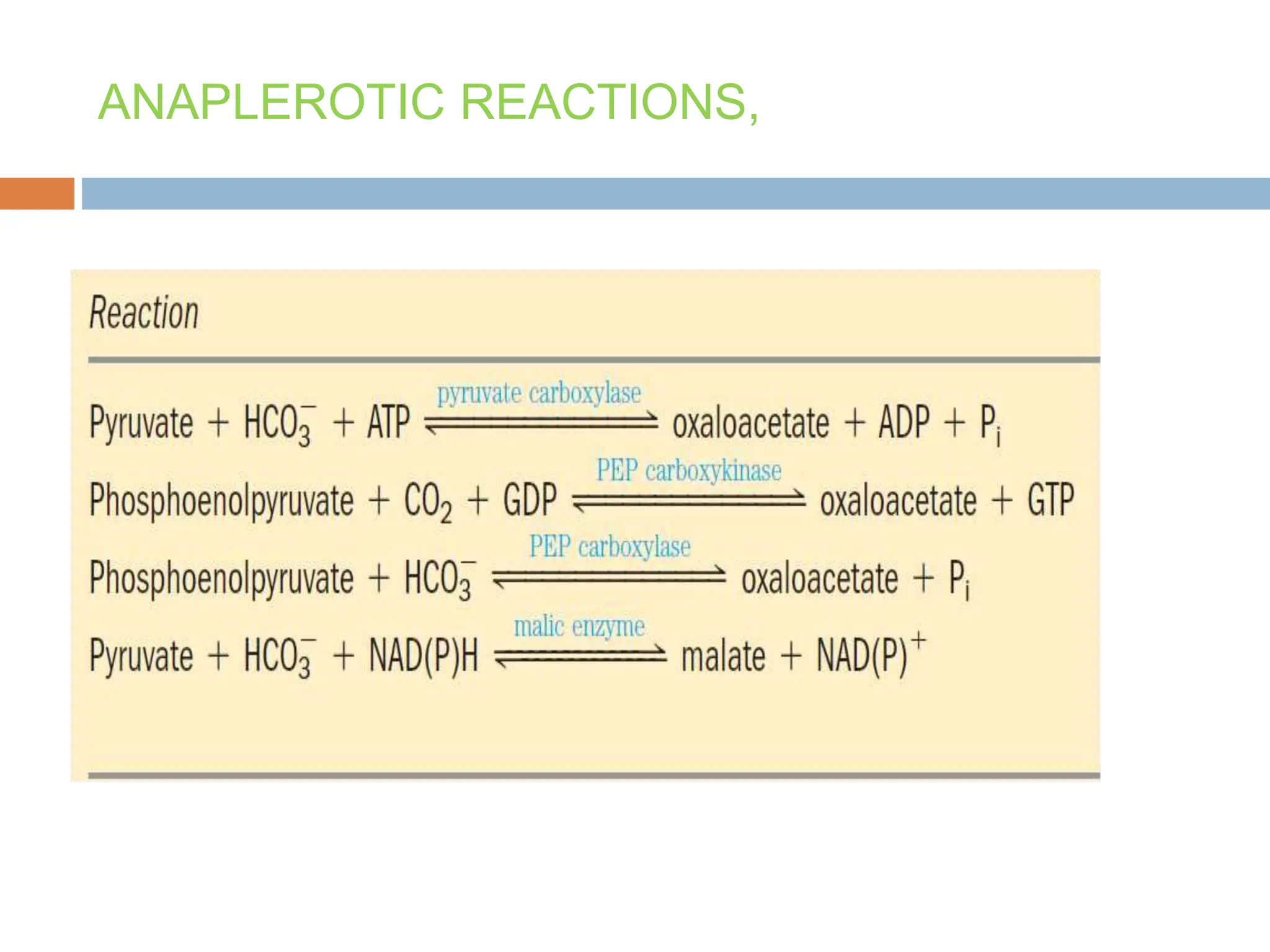 AMPHIBOLIC ROLE OF KREBS CYCLE WITH SPECIAL REFERENCE TO ANAPLEROTIC REACTIONS | PPTX