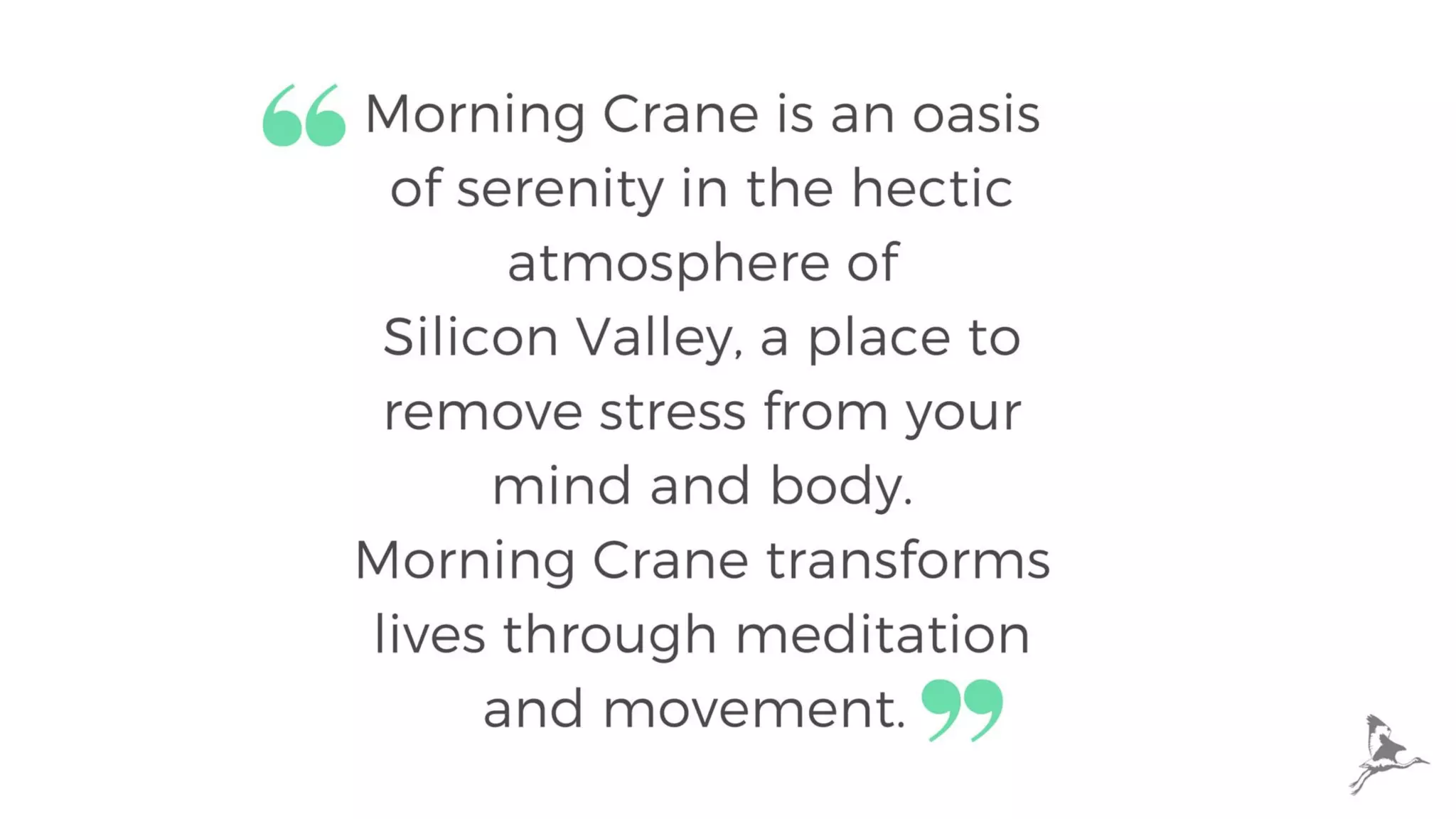 Social Media Project: Morning Crane | PDF
