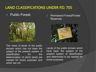 MORNING TUESDAY (importance of land info).ppt