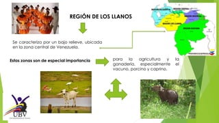 los llanos de Venezuela | PPTX
