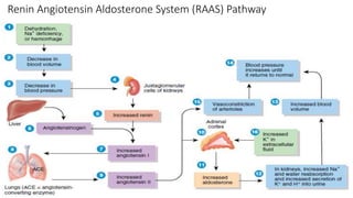 Morongwa Saku-Hormones Regulating Blood Pressure 1.pptx