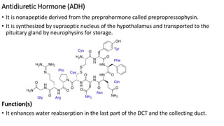 Morongwa Saku-Hormones Regulating Blood Pressure 1.pptx