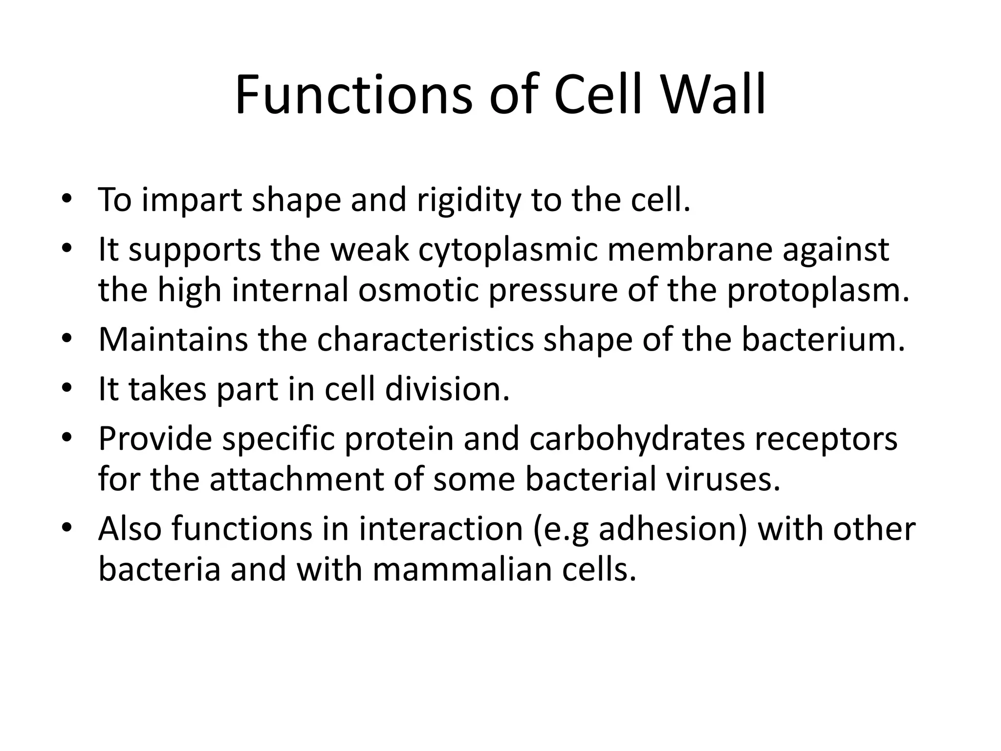 Morophology of bacteria | PPTX