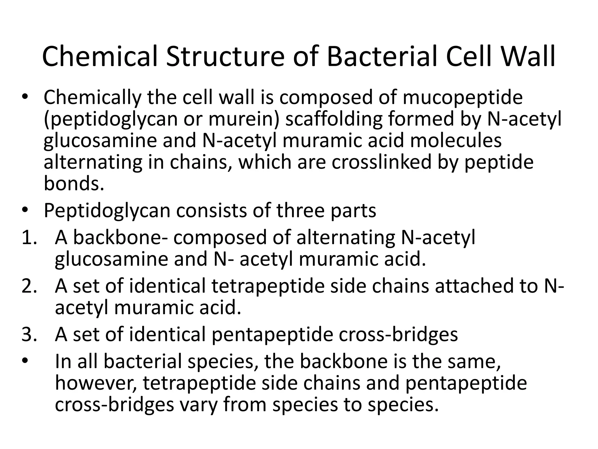 Morophology of bacteria | PPTX