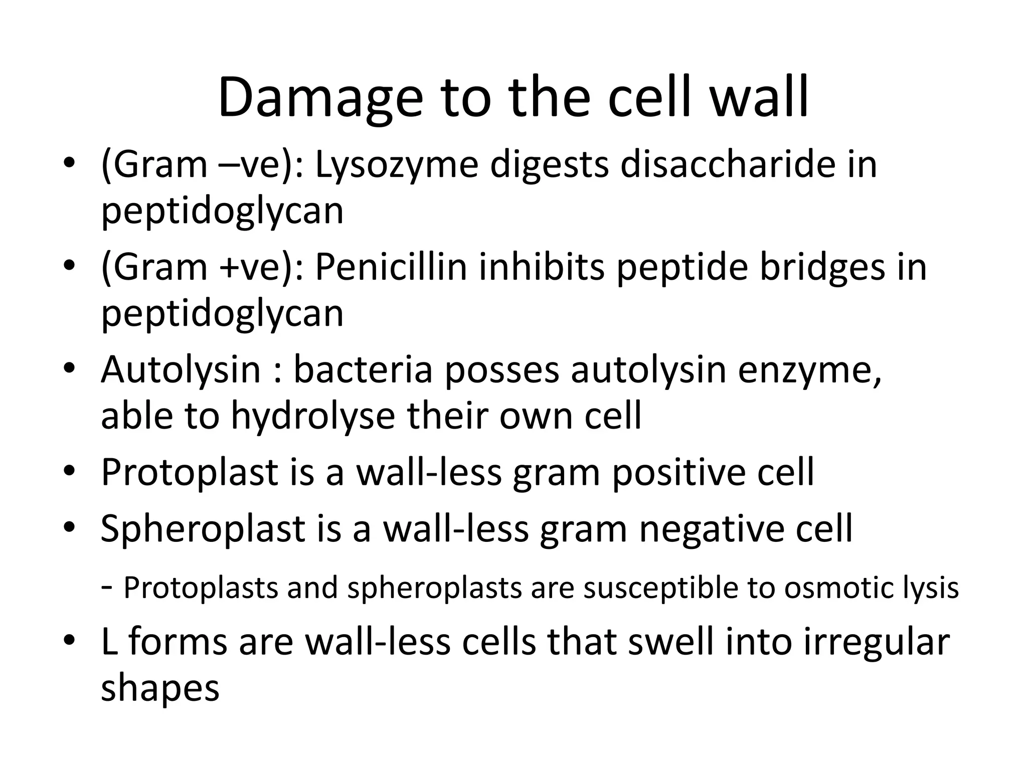 Morophology of bacteria | PPTX