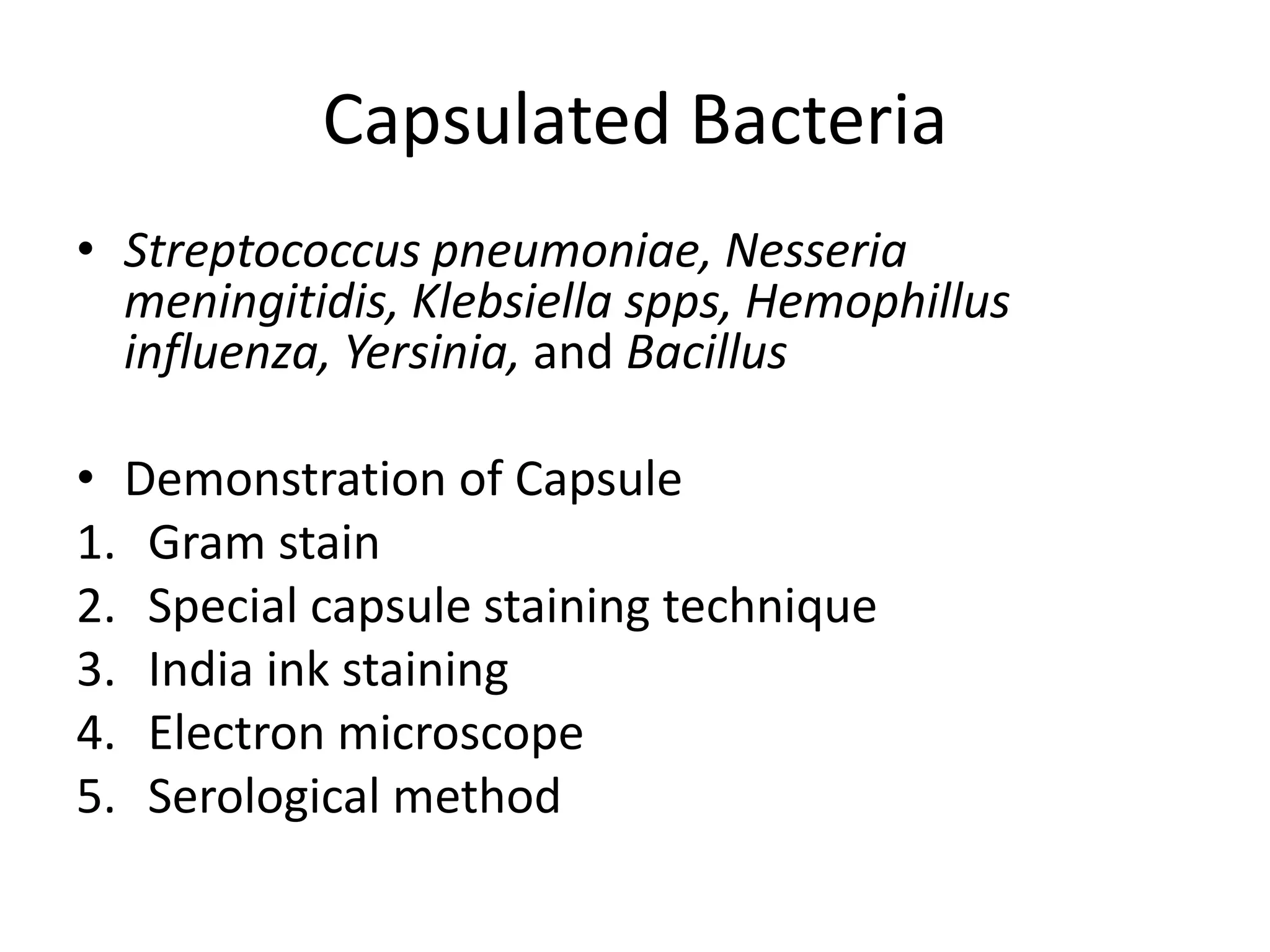 Morophology of bacteria | PPTX
