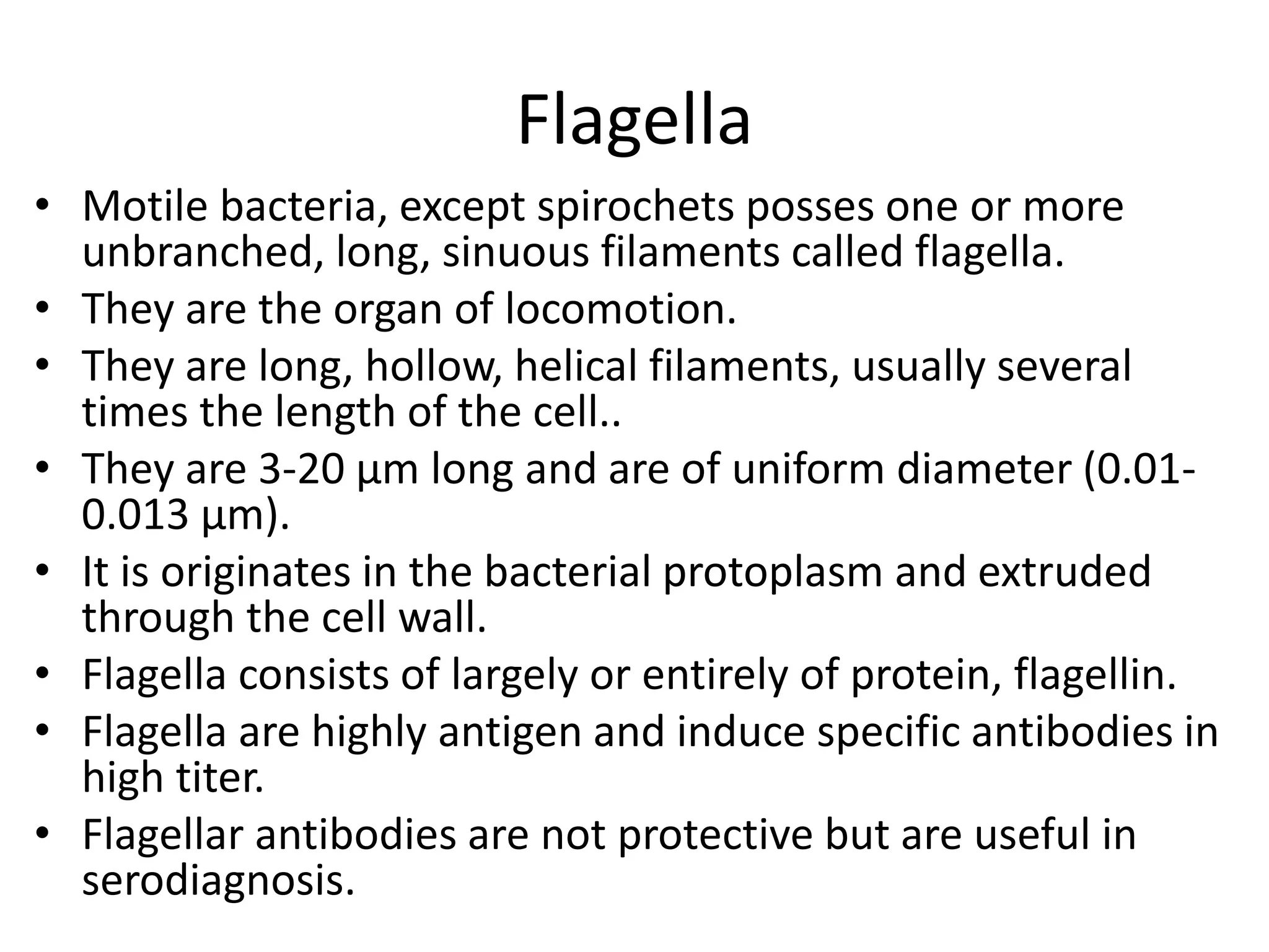 Morophology of bacteria | PPTX