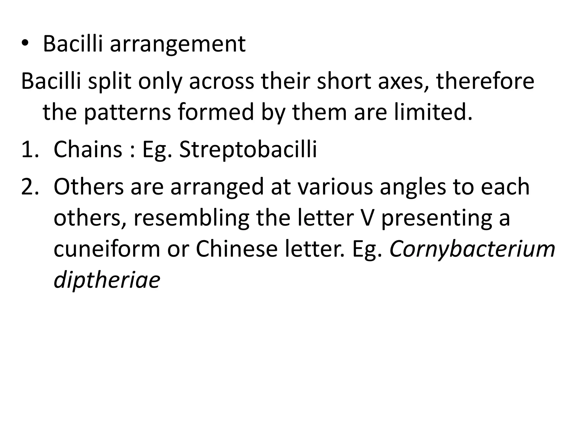 Morophology of bacteria | PPTX
