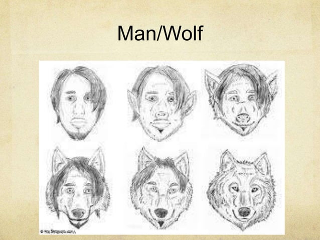 Morphed drawings | PPTX