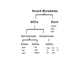 Morpheme | PPT