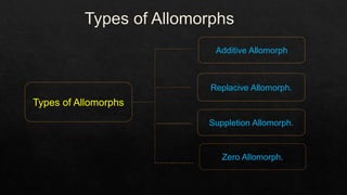 Morpheme, morph and allomorph | PPTX