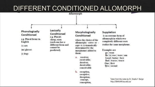 Morpheme, morph and allomorph | PPTX