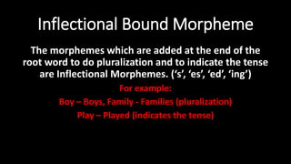 Morpheme Definition, Examples, Types, Morpheme and Morphology, Free and ...