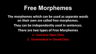 Morpheme Definition, Examples, Types, Morpheme and Morphology, Free and ...