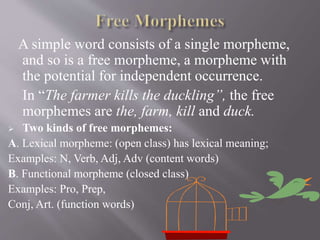 Morphemes 37 | PPTX