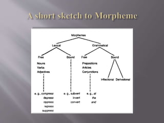 Morphemes 37 | PPT