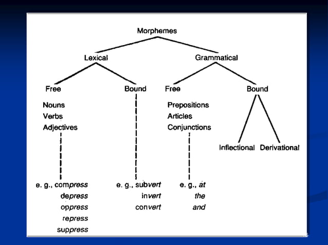 Morphemes & Types of morphemes | PPT | Geology | Science