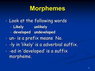 Morphemes & Types of morphemes | PPT