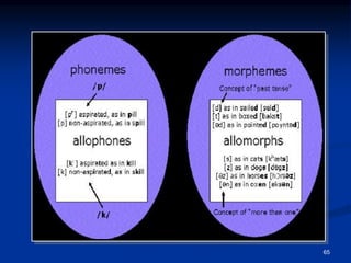 Morphemes & Types of morphemes | PPT