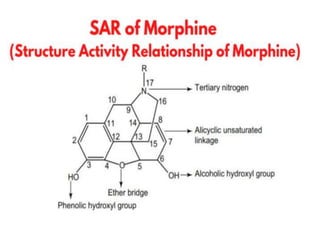 Narcotic and Non Narcotic Analgesic..pdf