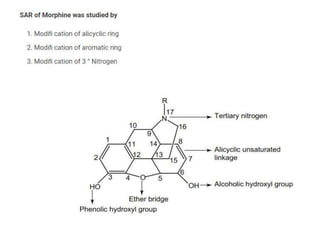 Narcotic and Non Narcotic Analgesic..pdf