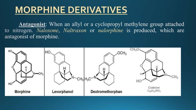 Morphine and Related Drugs including their Derivatives.pdf