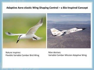 Morphing of aircraft wings | PPTX