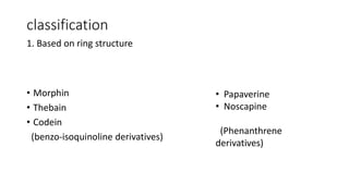 MORPHIN new.pptx | Free Download