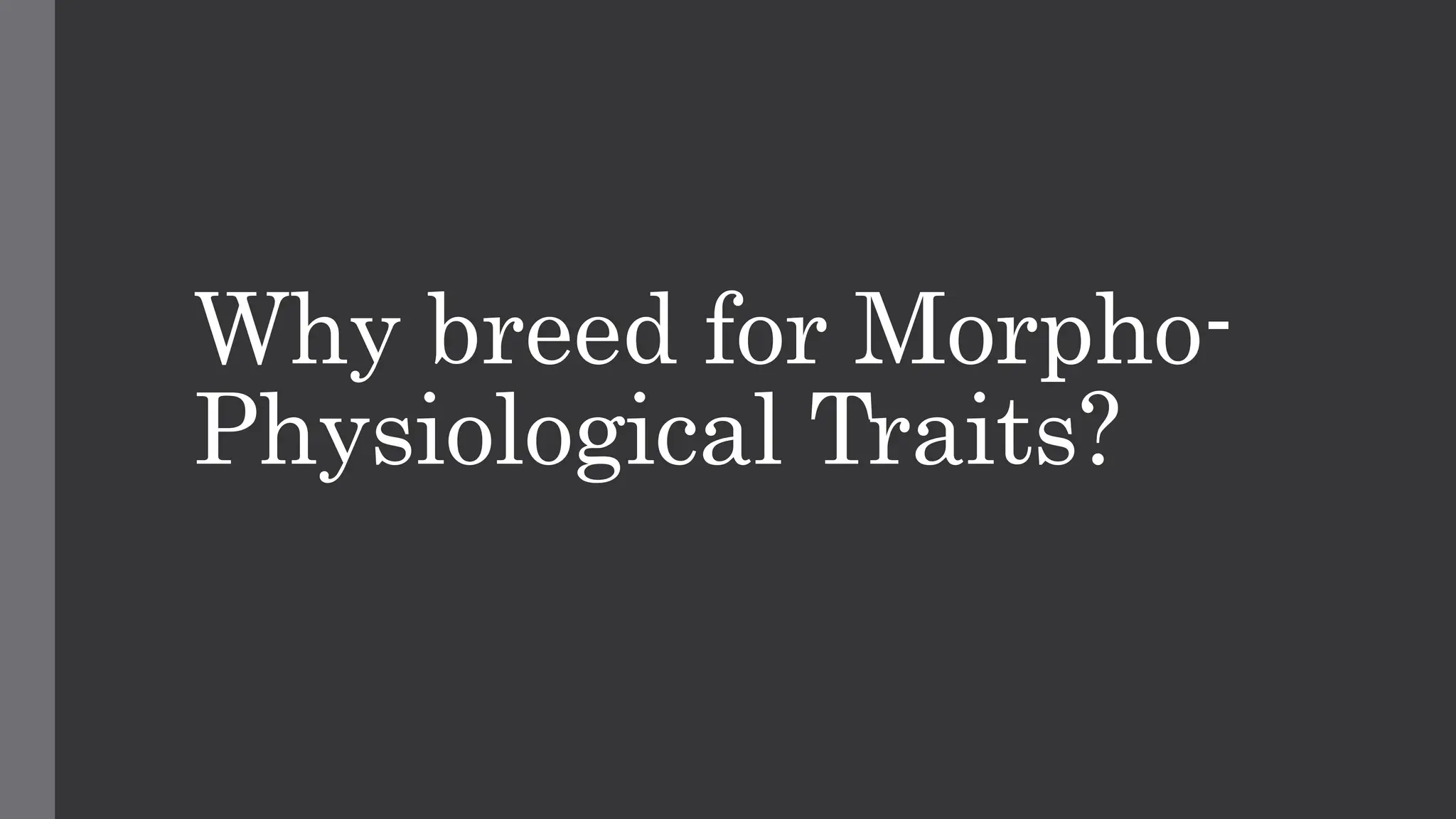 MORPHO.pptx