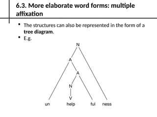 Morphology Morphology Morphology Morphology | PPTX