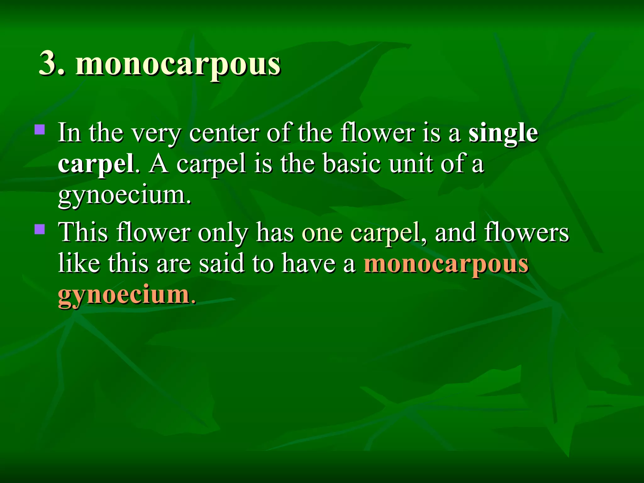 Morphoanatomy Of The Flower | PPT