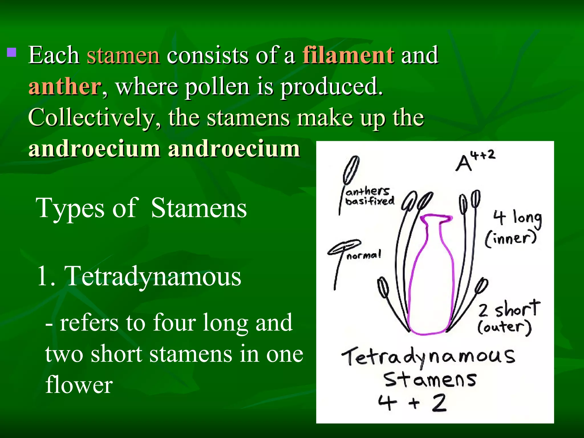 Morphoanatomy Of The Flower | PPT