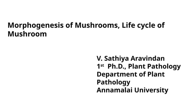 Morphogenesis of Mushroom and enzymes involved in morphogensis | PPTX ...