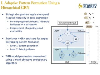 Morphogenetic Multi-Robot Pattern Formation Using Hierarchical Gene ...