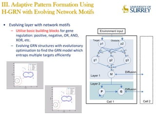 Morphogenetic Multi-Robot Pattern Formation Using Hierarchical Gene Regulatory Networks | PDF