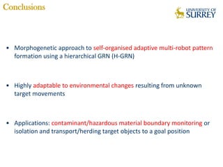 Morphogenetic Multi-Robot Pattern Formation Using Hierarchical Gene ...