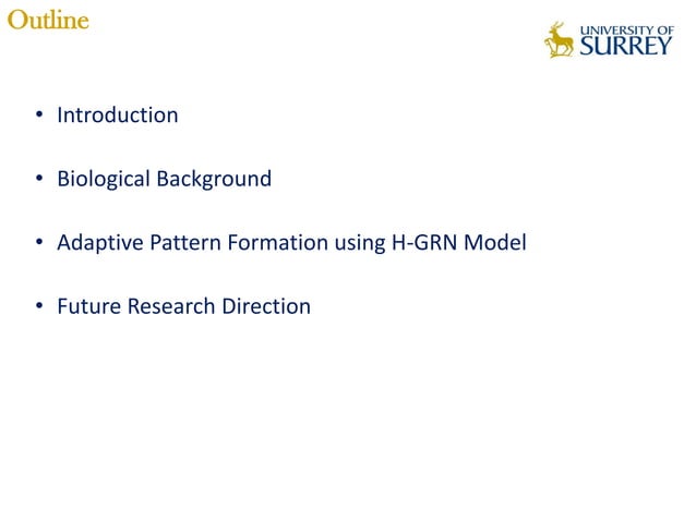Morphogenetic Multi Robot Pattern Formation Using Hierarchical Gene Regulatory Networks Pdf