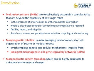 Morphogenetic Multi-Robot Pattern Formation Using Hierarchical Gene Regulatory Networks | PDF