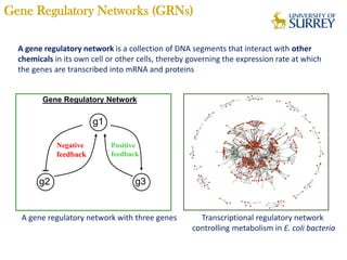 Morphogenetic Multi-Robot Pattern Formation Using Hierarchical Gene Regulatory Networks | PDF