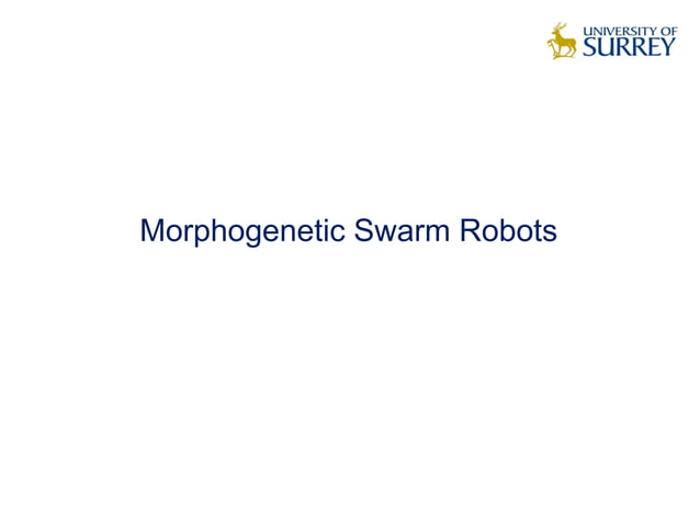 Morphogenetic Multi Robot Pattern Formation Using Hierarchical Gene Regulatory Networks Pdf